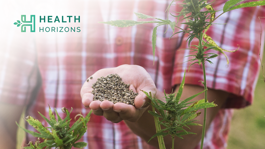 Why Hemp is good for the environment? – Health Horizons